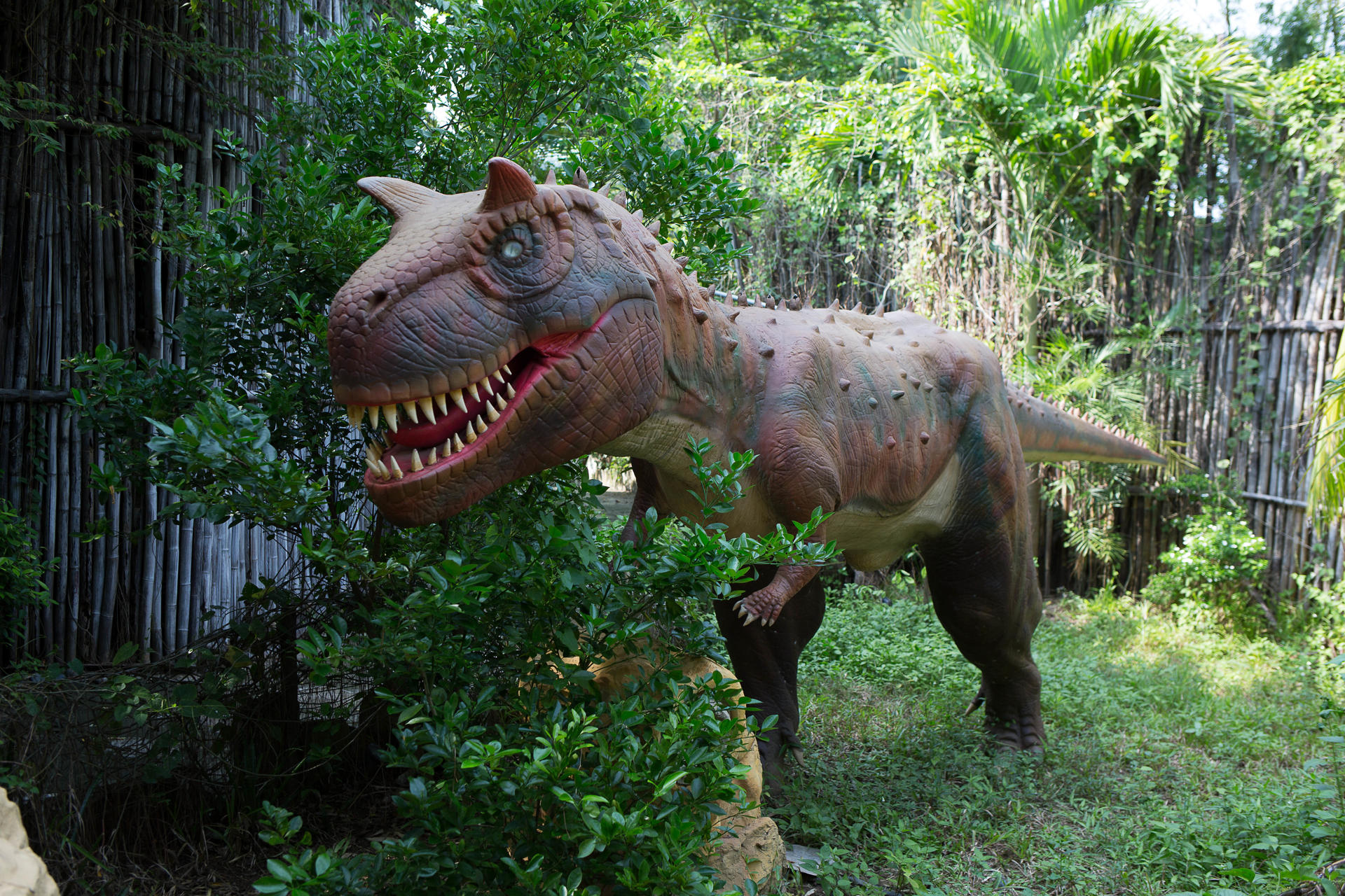 Dino Trail with World of Fun, Dino Garden, Happy Train Ride, 7D Extreme ...