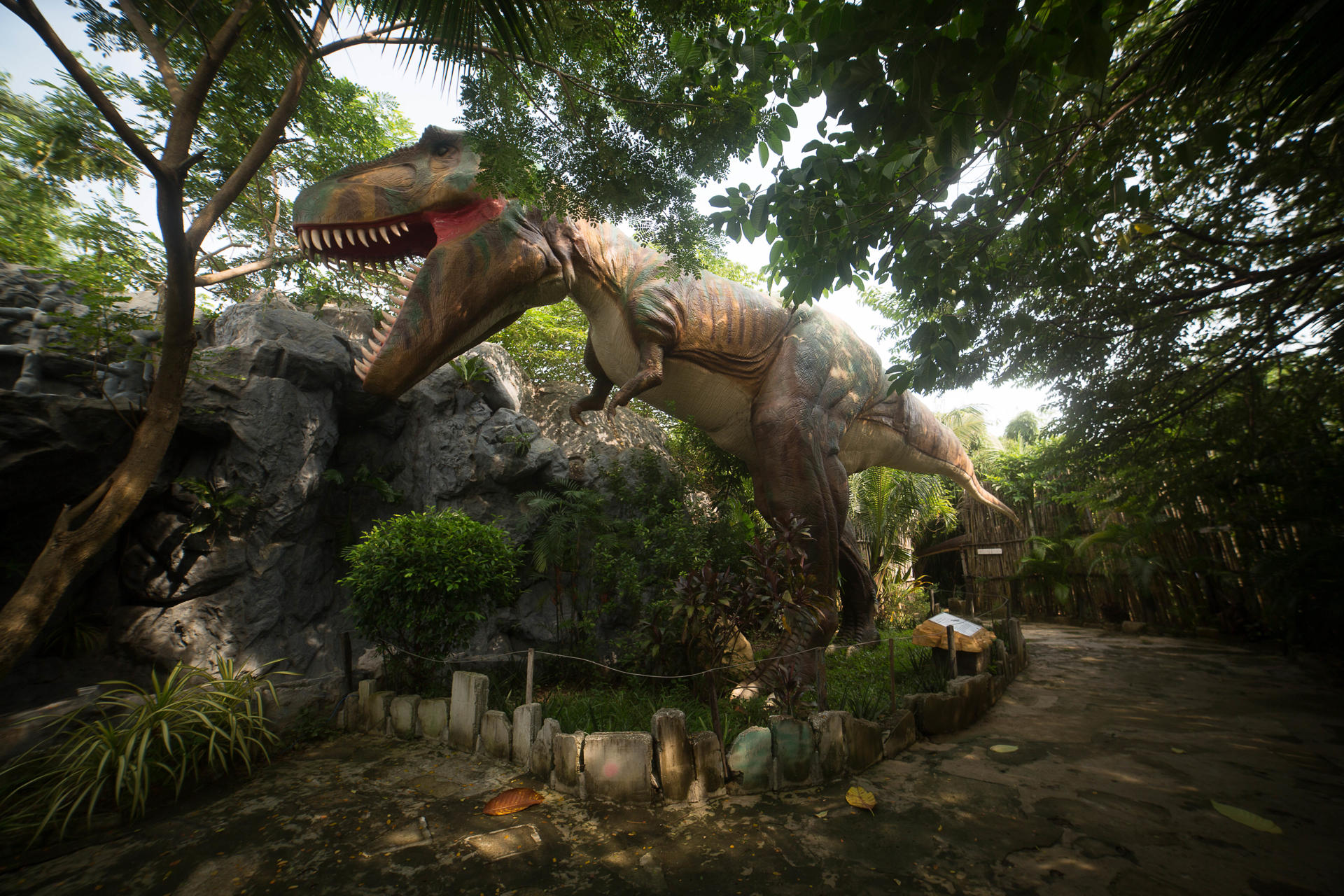 Dino Trail - Dinosaur Island Ilocos